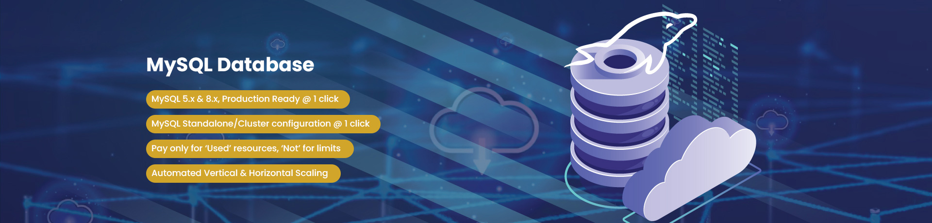 Mysql Database Management Service Affordable And Reliable